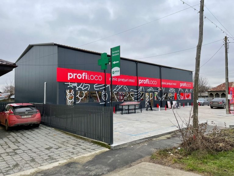 Constructie Hala Metalica – Profi Loco - FormiPlanim.RO